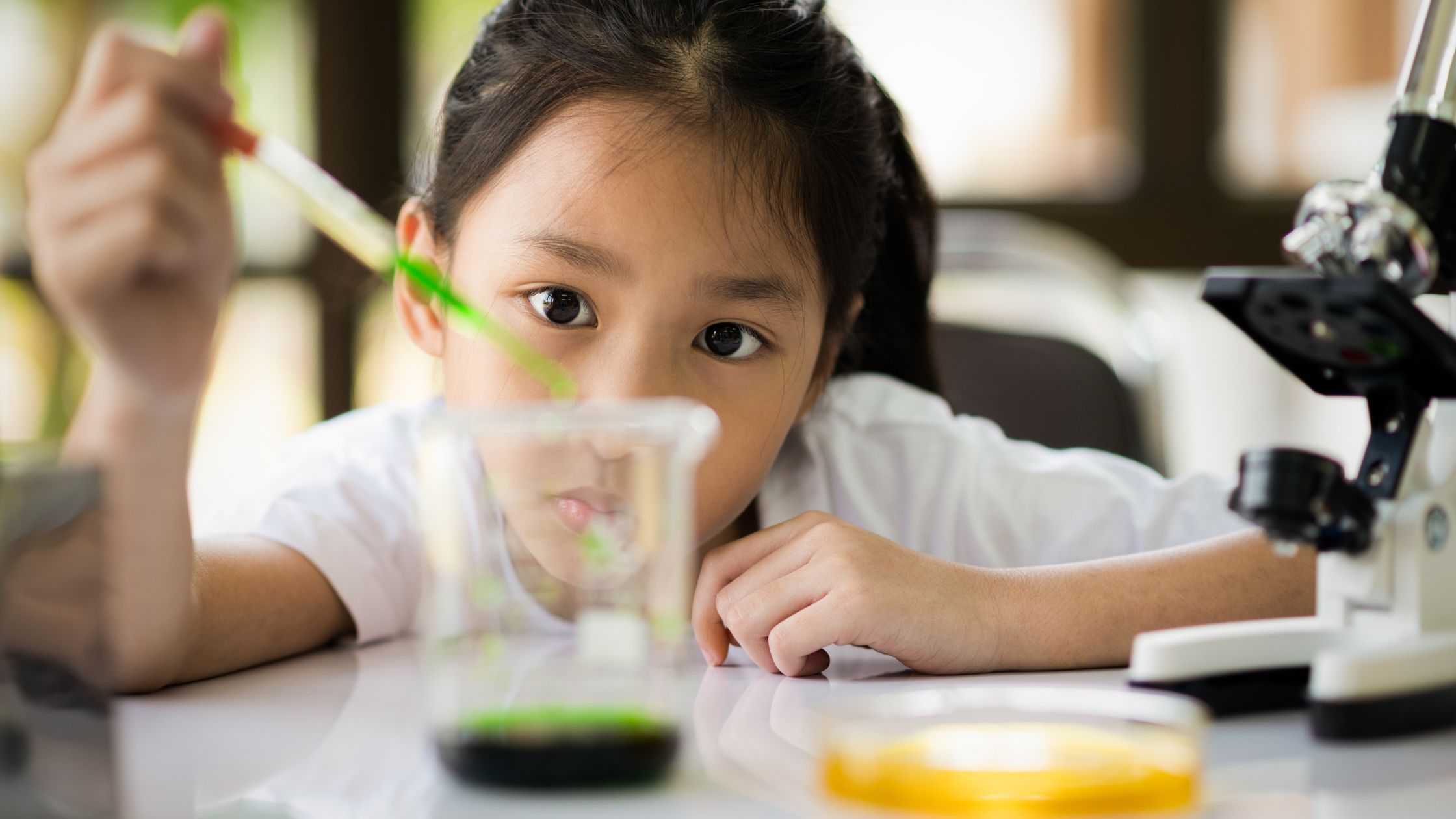 45 Fun And Easy Science activities For Preschoolers